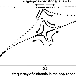 Proportion of Sinistral Snails Amongst Offspring of Sinistrals Compared ...