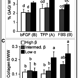 Biochemical Content of Neotissue.