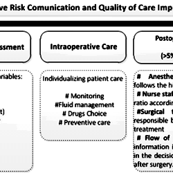 Flow of the high-risk patient’s care.