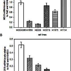 Relative quantification of NEU3 and EGFR mRNA levels by quantitative ...