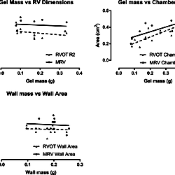 Correlation of RV chamber dimensions with gel mass from necropsy findings.