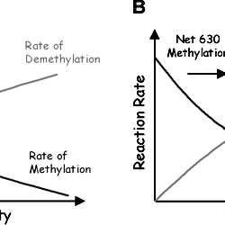 Graphical Illustration of Mechanism for Robust Adaptation