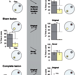 Retention Testing: Zone Analysis
