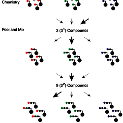 Split-and-Pool Synthesis of a Combinatorial Chemistry Library