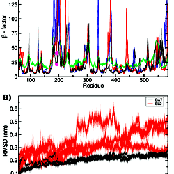 RMSF and RMSD values.