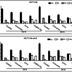 Effect of curcumin and/or 5-FU on the cell cycle of HCT116 and HCT116 ...