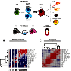 NanoString nCounter expression analysis in ESCs and other cell types.