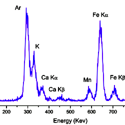 Typical synchrotron radiation X-ray fluorescence (SR-XRF) microprobe spectrum in an embryo ...