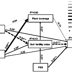 The structural equation model (SEM) showing the hypothesized causal ...
