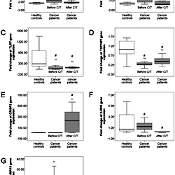 Confirmation of microarray results with TaqMan real-time RT-PCR.
