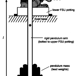 Pendulum testing apparatus [22].