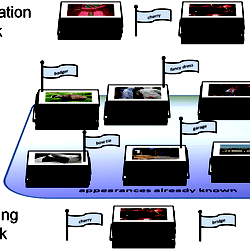 The identification and naming tasks.