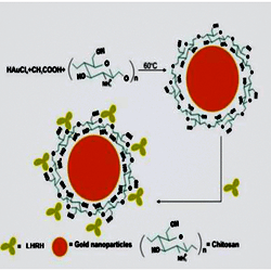 Schematic diagram showing the functional structure of chitosan ...