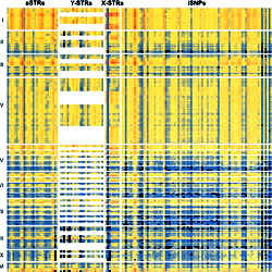 Heat map of read numbers for all samples and loci.