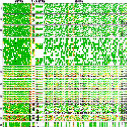 Heat map of ACRs for all samples and loci.