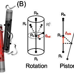 Definition of helical motions.