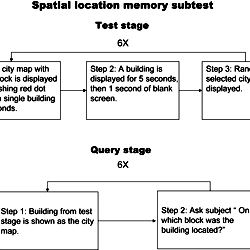 Flow chart illustrating the spatial context memory test.