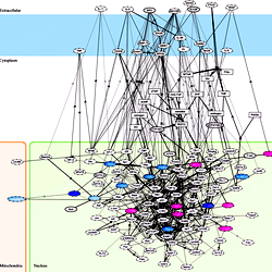 Color mapping of molecular expressions on KeyMolnet.