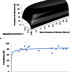 The relationship between mean intensity and prevalence.