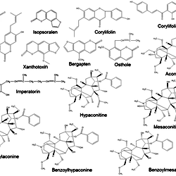 The chemical structures of 15 constituents in BZ.
