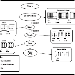 Schematic diagram of the protocol.