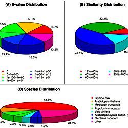 Figures of Nr classification.