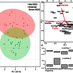 Metabolomics based predictive biomarker model of ARDS: A systemic ...