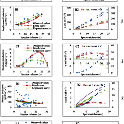 The verification of the derived forms of the SRPR at a regional scale and the dynamics of SC ...