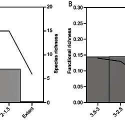 Functional richness and evenness through time.