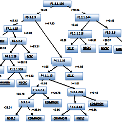 Decision tree model obtained by the Random Forest classifier.