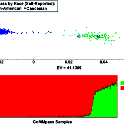 Population stratification by principal component analysis and STRUCTURE ...