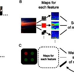 You prime what you code: The fAIM model of priming of pop-out - Fig 1