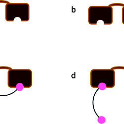 Schematic representation of the possible interactions between a single ...