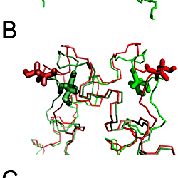 Comparison of structures of QUA1 domains from pXqua and QKI.