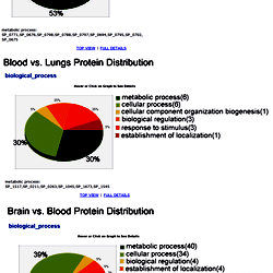 Pie Chart illustrating multiple samples protein distribution.