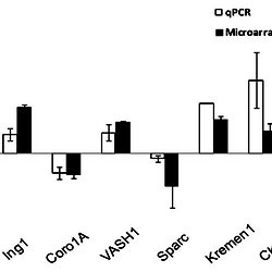 Validation of microarray genes by quantitative Real Time PCR, qPCR.