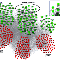 Graphic illustration of a functional modular map of the multiple gene ...