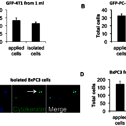 Isolation of rare cells with MBs.