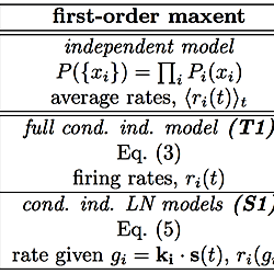 An overview of maximum entropy encoding models.