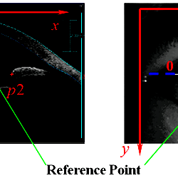 The diagrammatic presentation of reference frame and different point ...