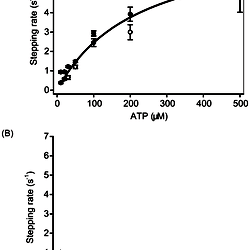 Actual stepping rate calculated from the apparent stepping rate and the ...