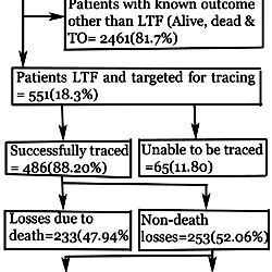 Schematic diagram showing the procedure of tracking LTF.