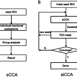 Flow charts of sCCA and siCCA.