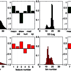 Example histograms and extracted features: FS Lin and SS Log.