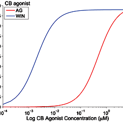 The experimental CB concentration response curves.