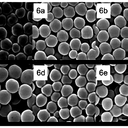SEM examination of microspheres.
