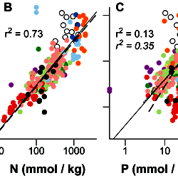 Scaling of soil microbial biomass C (MBC) with soil C, N, and P pools.