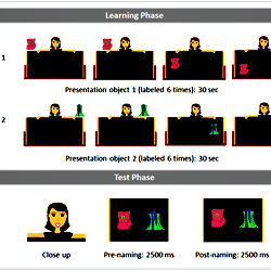 Structure of a word-learning cartoon.