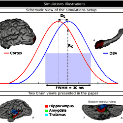 Simulation setup illustrations.
