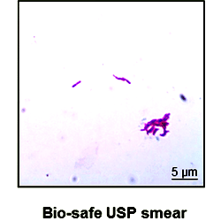 Direct, USP and bio-safe USP smear.